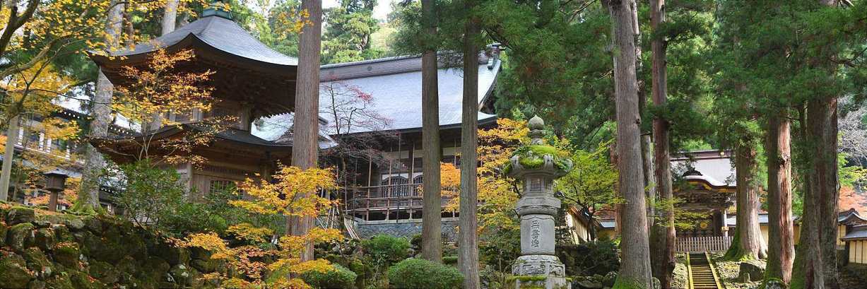 Fukui City Travel Guide - What to see and do in Fukui City and surroundings