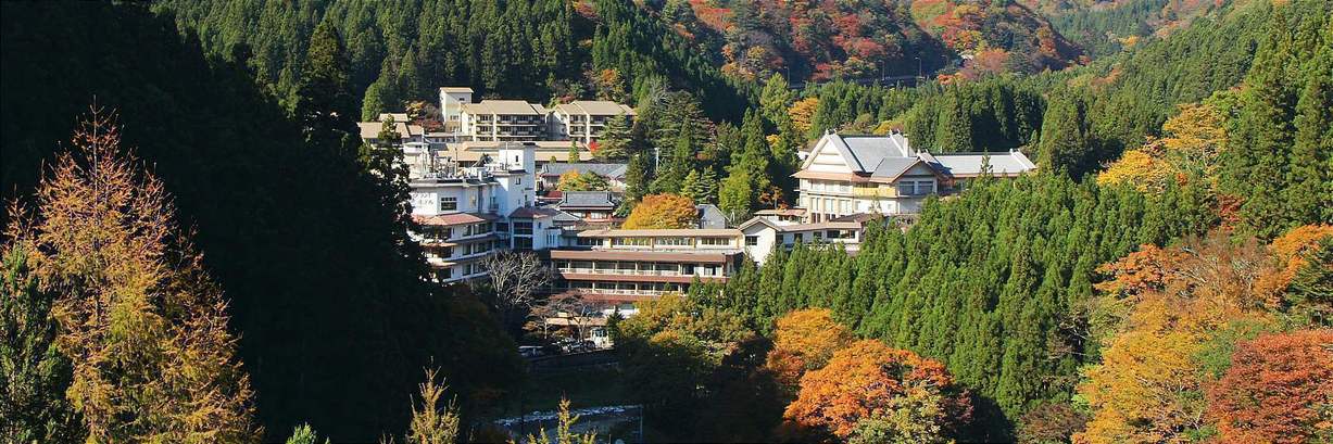 Shima Onsen Travel Guide - What to do around the Shima Hot Springs