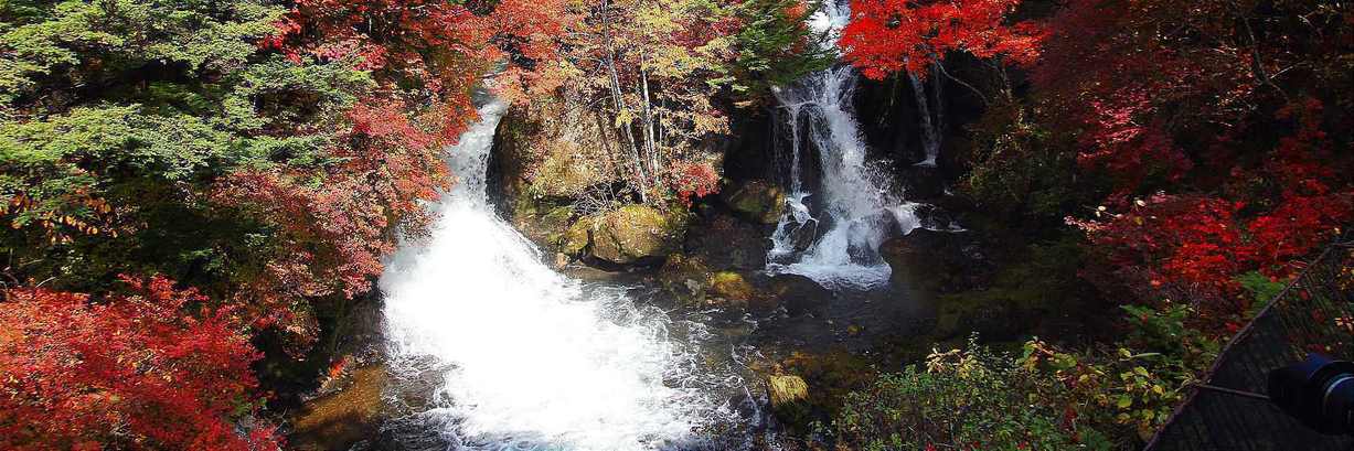 Tochigi Prefecture Travel Guide