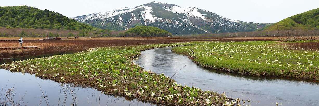Oze National Park Travel Guide - What to do in Oze