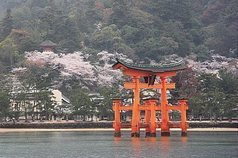 Hiroshima Travel Guide - What to do in Hiroshima City
