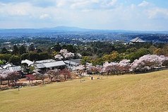 Nara Travel Guide - What to do in Nara City