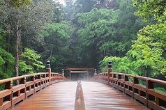 Shima Peninsula Travel Guide - What to do in the Ise Shima region