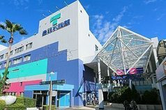 Shima Peninsula Travel Guide - What to do in the Ise Shima region