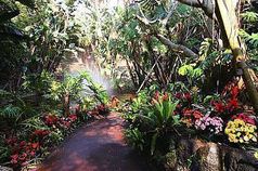 What to do on the Satsuma Hanto - Satsuma Peninsula Travel Guide