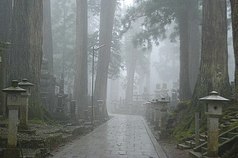 Koyasan Travel Guide - What to do on Mount Koya