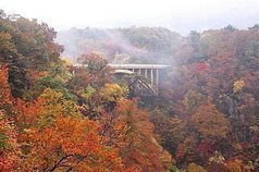 Sendai Travel Guide - What to do in Sendai