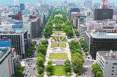 Sapporo Travel Guide - What to do in Sapporo City
