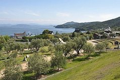 Shodoshima Travel Guide - What to do on Shodoshima Island