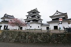 Japanese castles