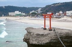 Izu Peninsula Travel Guide - What to do on the Izu Hanto