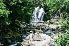 Izu Peninsula Travel Guide - What to do on the Izu Hanto