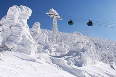 Sendai Travel Guide - What to do in Sendai