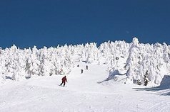 Zao Onsen Travel Guide - What to do around Mount Zao