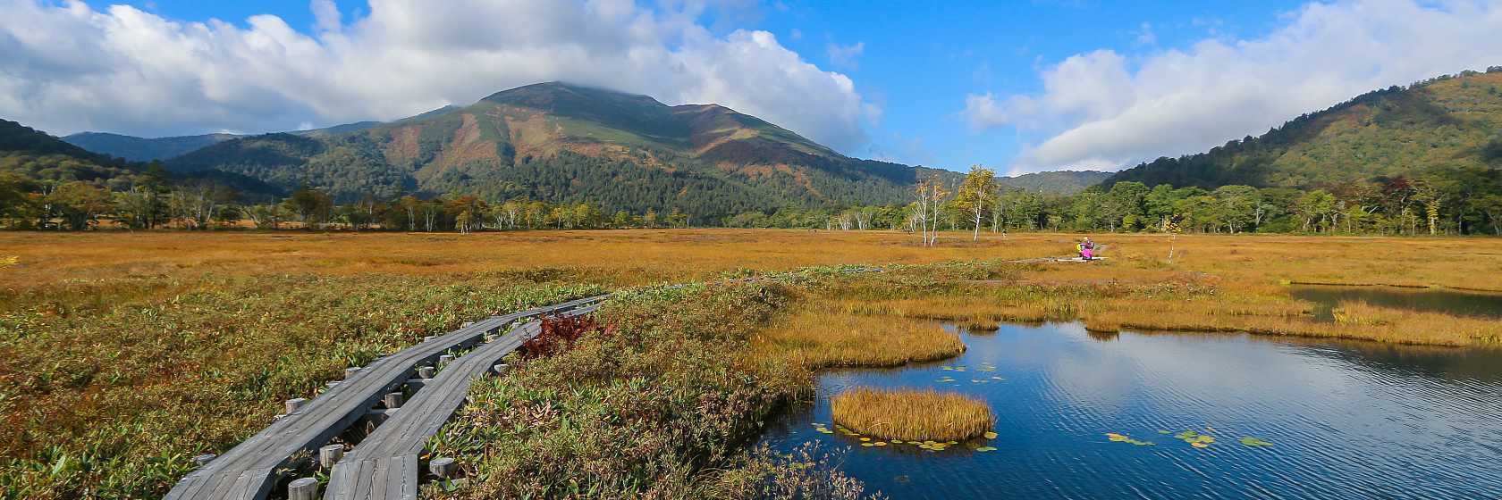 Oze National Park Travel Guide - What to do in Oze